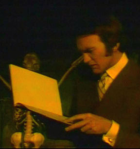 Welcome to the World of Strange Paradise!